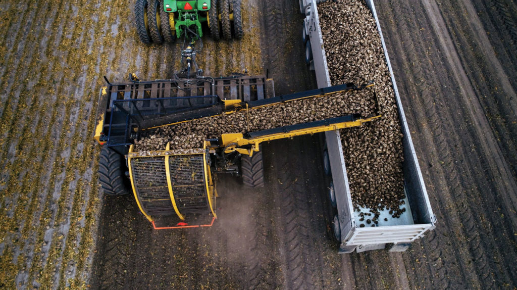 HV-12R22 Rigid Sugarbeet Harvester. | Alloway